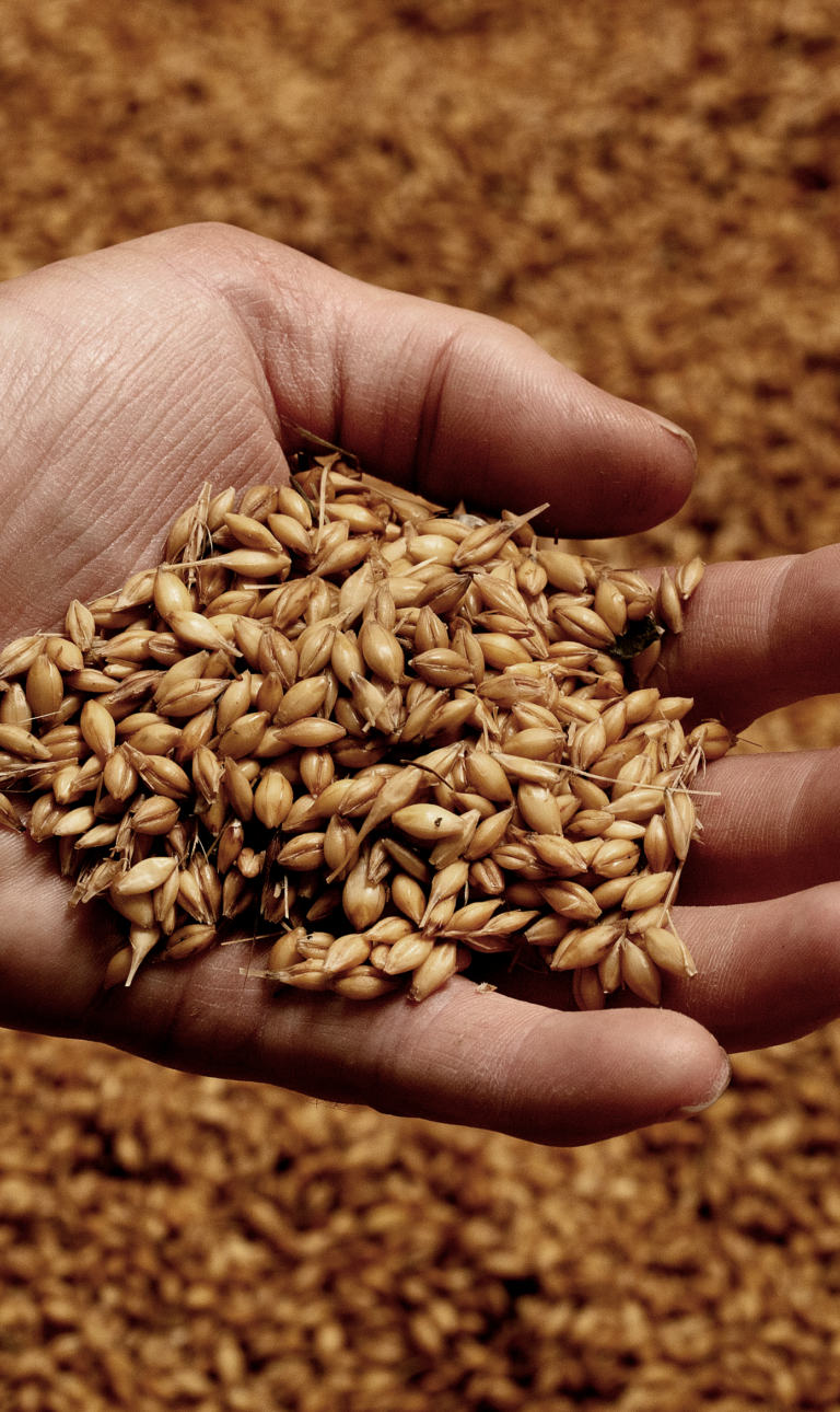 Home - Burren Distillers